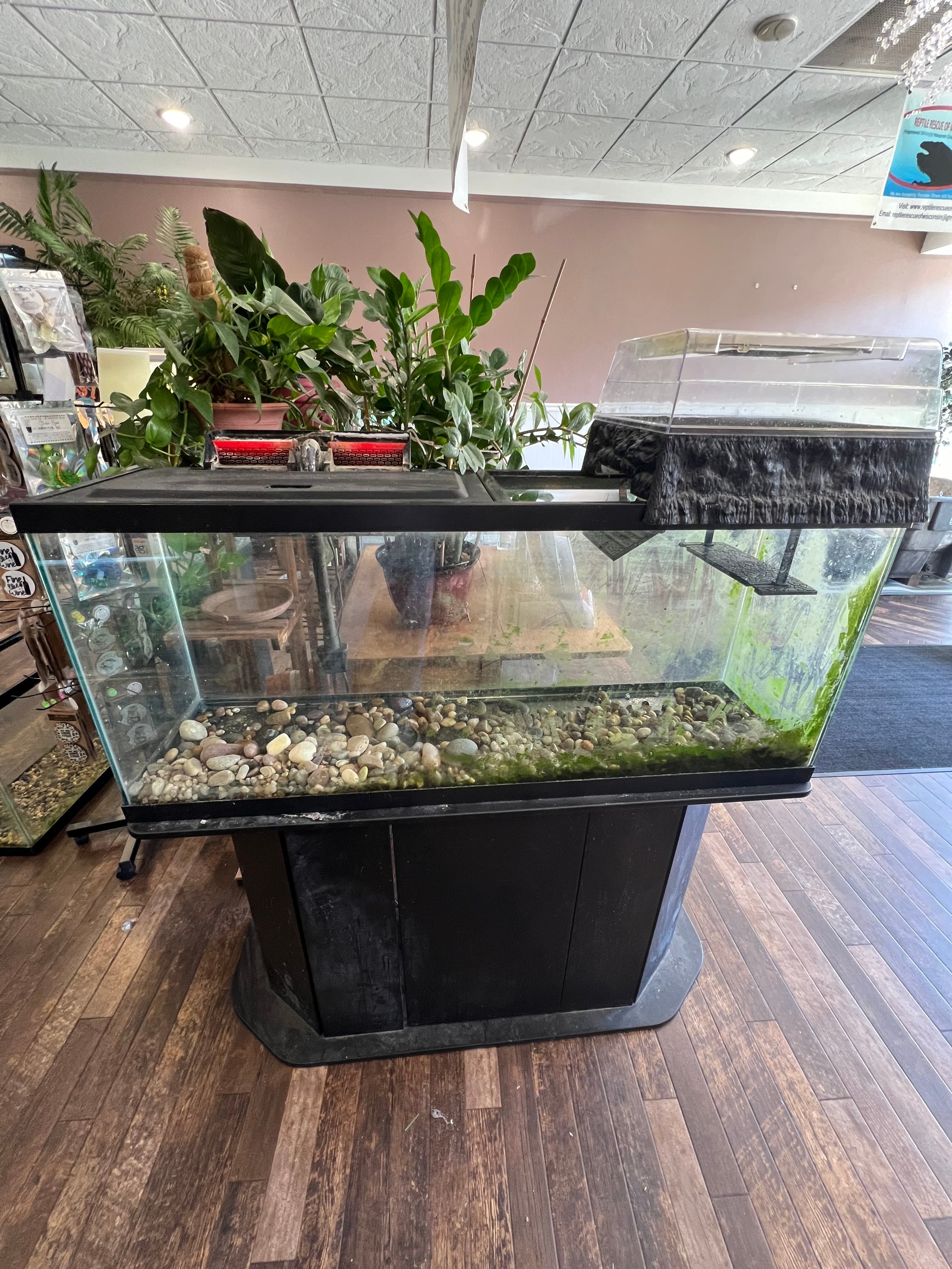 55 Gal Turtle Tank Set Up | RROW